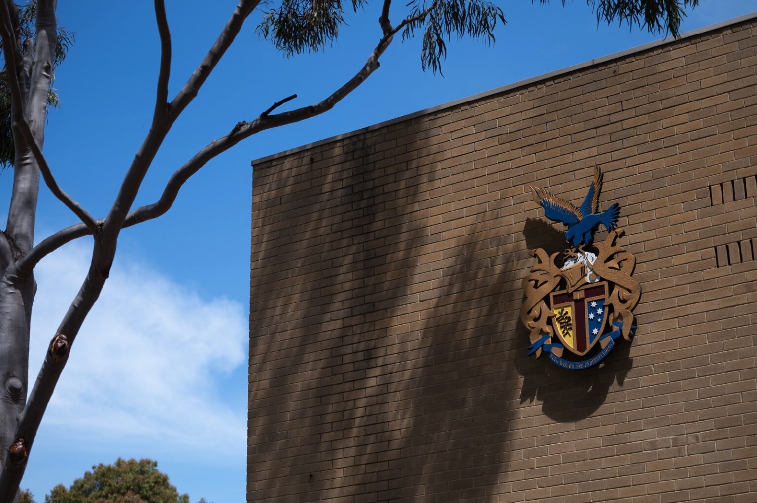 Our history — The Knox School