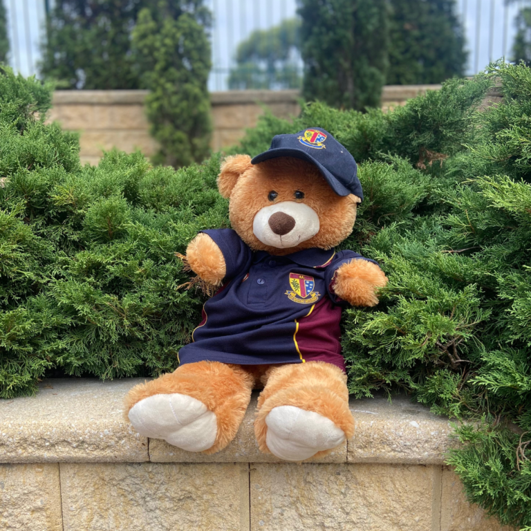 Have You Ever Been On A Teddy Bear Picnic? — The Knox School
